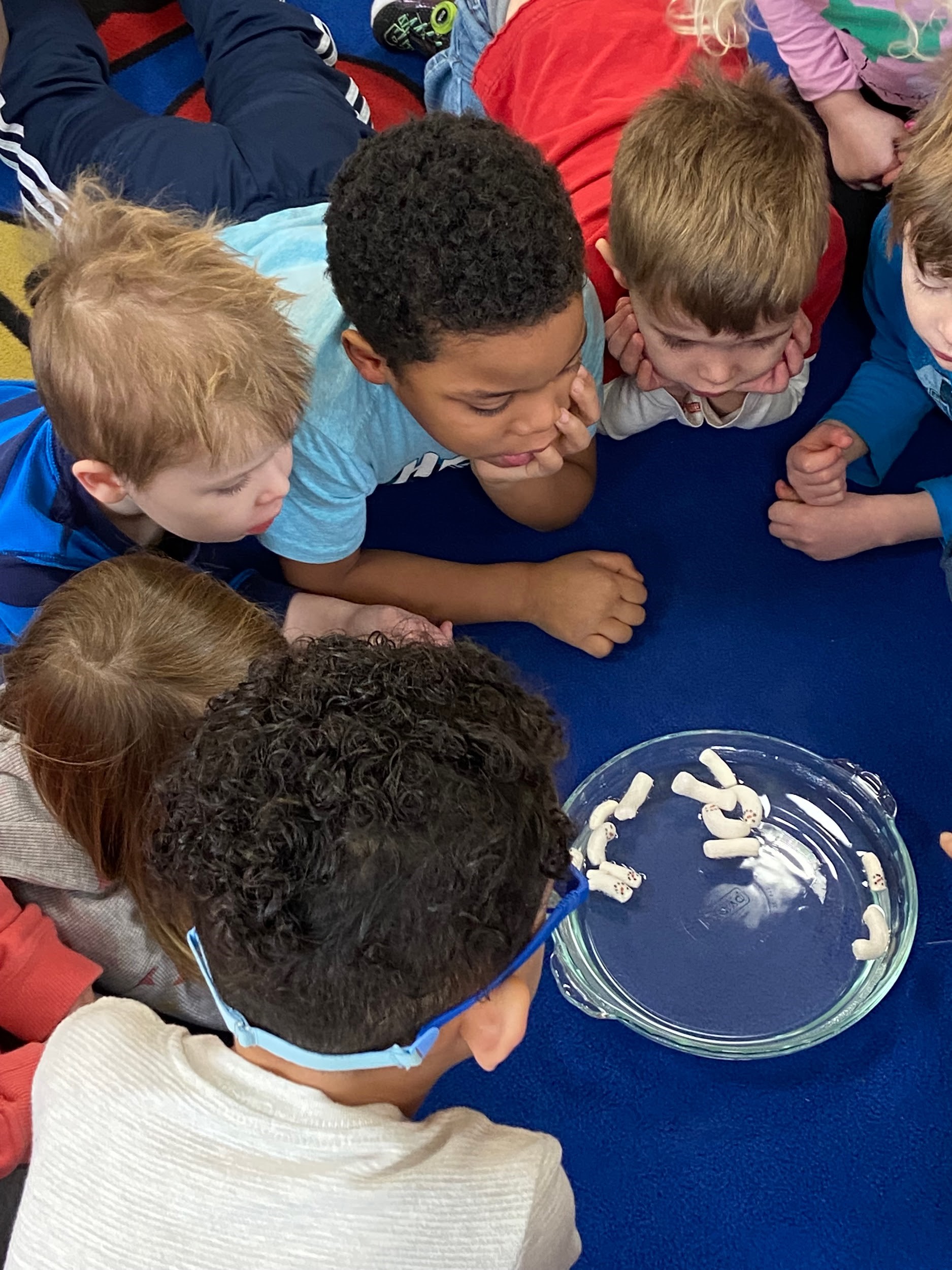 Four-Year-Old Classes
